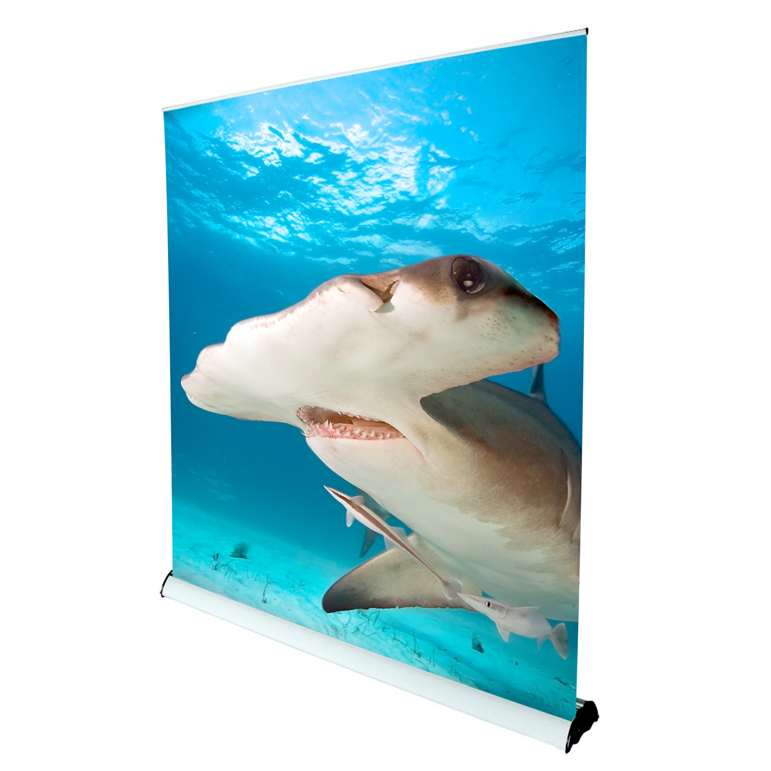 Espositori Roll Up grandi dimensioni Milano Disponibili subito!